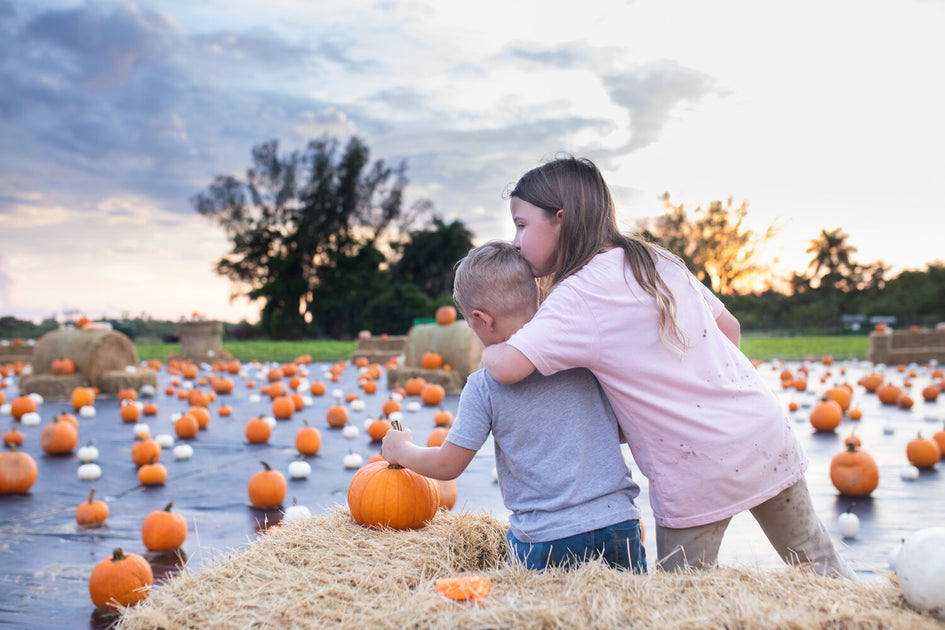 Exploring The New & Improved Berry Farms – State of Kid